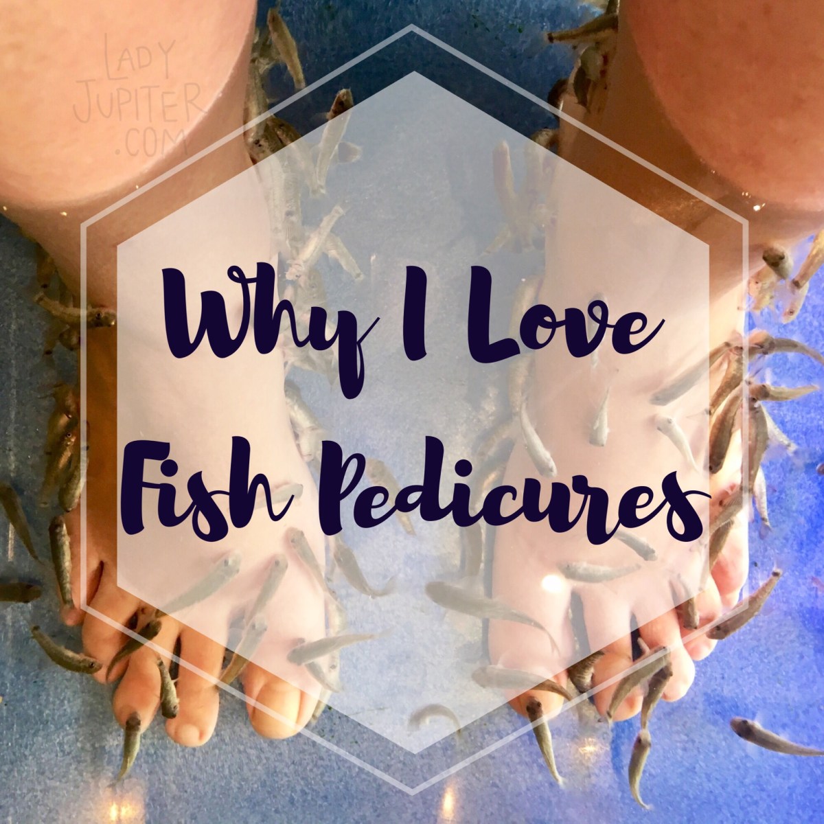 Why I Love Fish Pedicures – Lady Jupiter