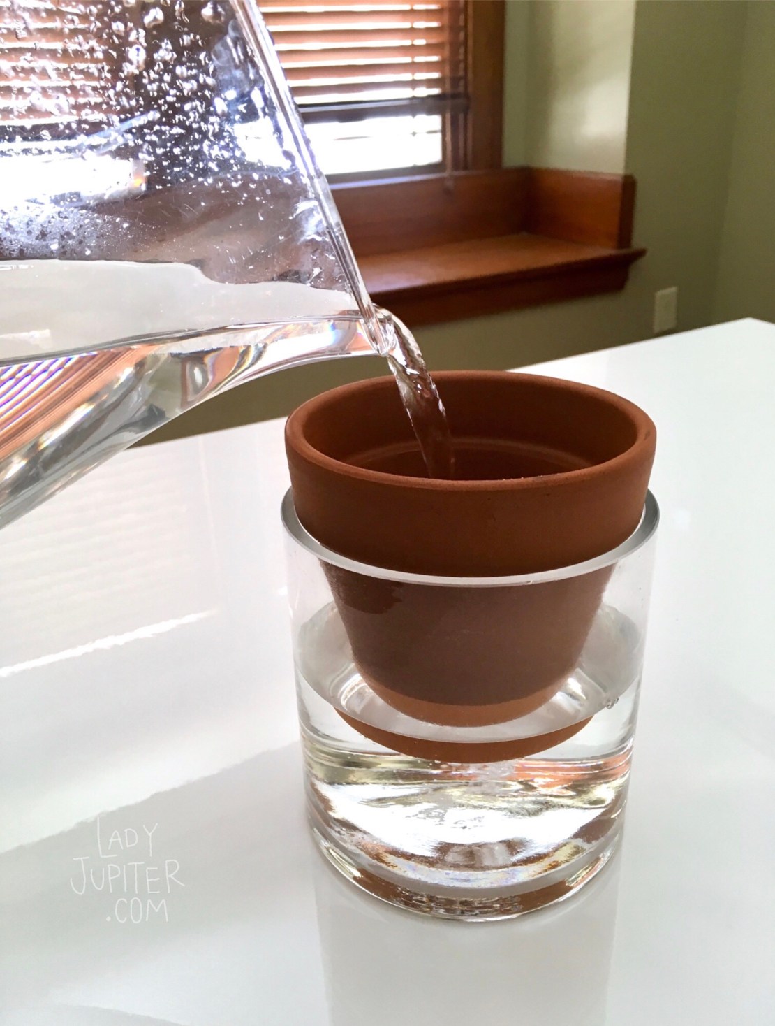 Needed a humidifier, so I made a simple one with a terra cotta plant ...