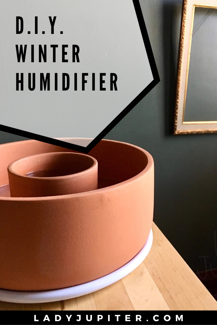 D.I.Y. Winter Humidifier – Lady Jupiter